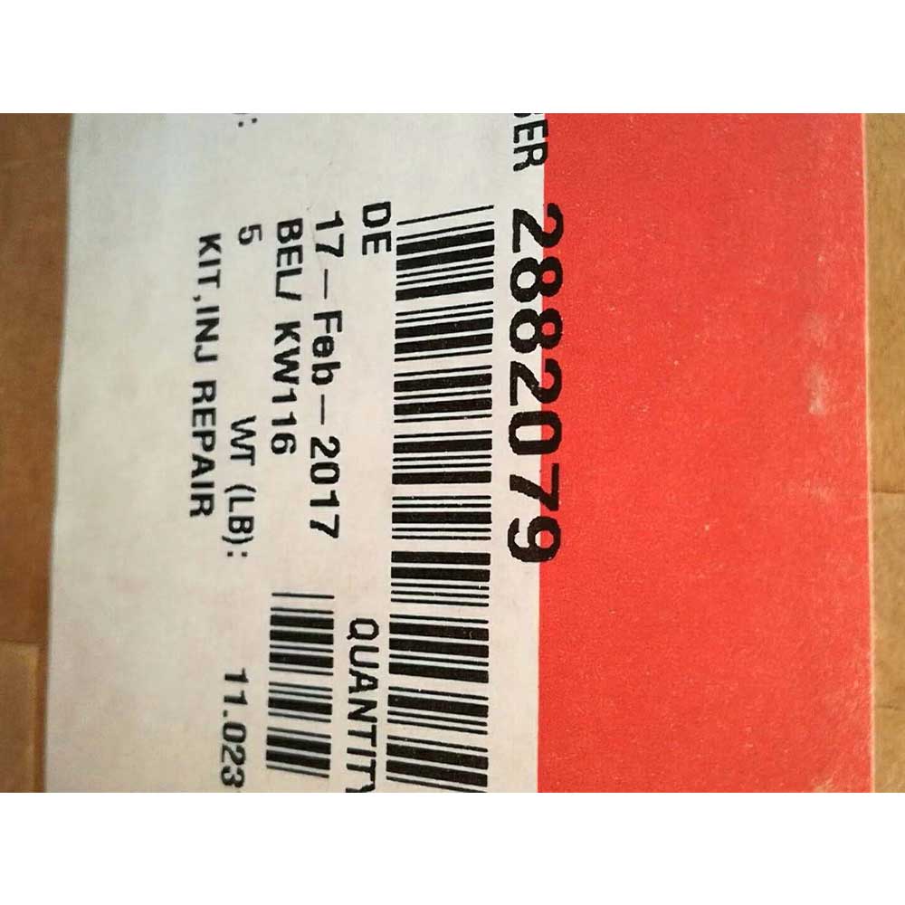 Fuel Injector 4955524 2882079 4964170 for Cummins Engine K19 KTA19 QSK19