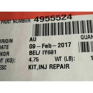 Fuel Injector 2882079 2867149 F00BJ00004 F00BJ00005 for Cummins Engine ...