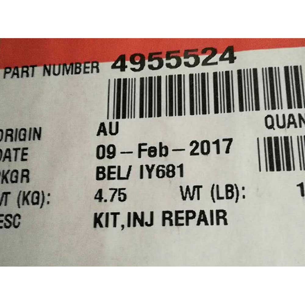 Fuel Injector 2882079 2867149 F00BJ00004 F00BJ00005 for Cummins Engine ...